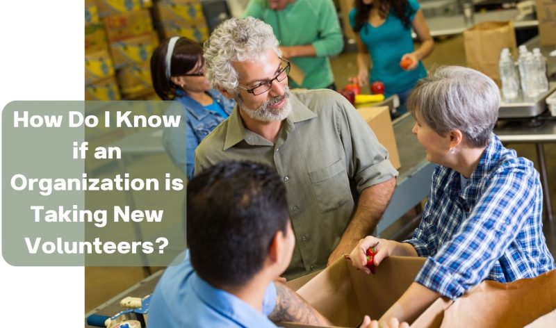 How do I know if an Organization is Taking New Volunteers? – Next Stage ...
